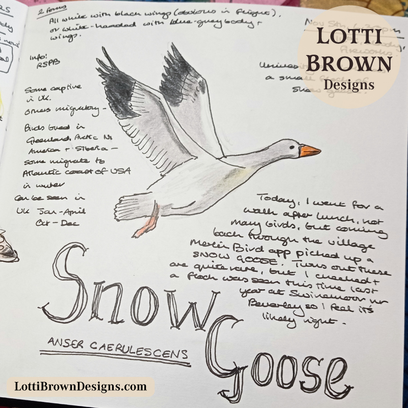 British Nature Folklore Library: Stories, Seasons & Celtic Tree Wisdom